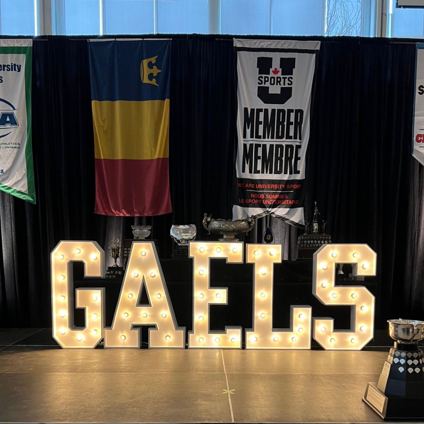 Neon Signs Rental | Toronto Balloon Décor